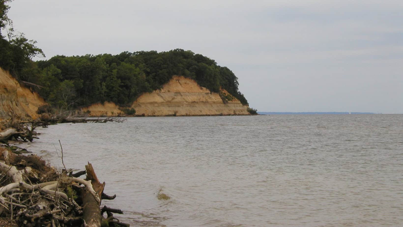 JFamily Field Trip: Explore Calvert Cliffs with a Geologist - EDCJCC